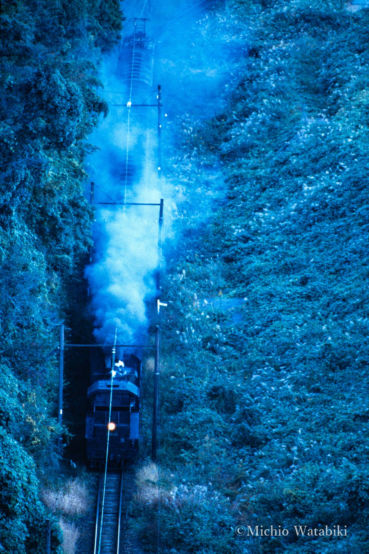 大井川鉄道C11「SL急行」（1996.9） - ビバトレインどっとこむ