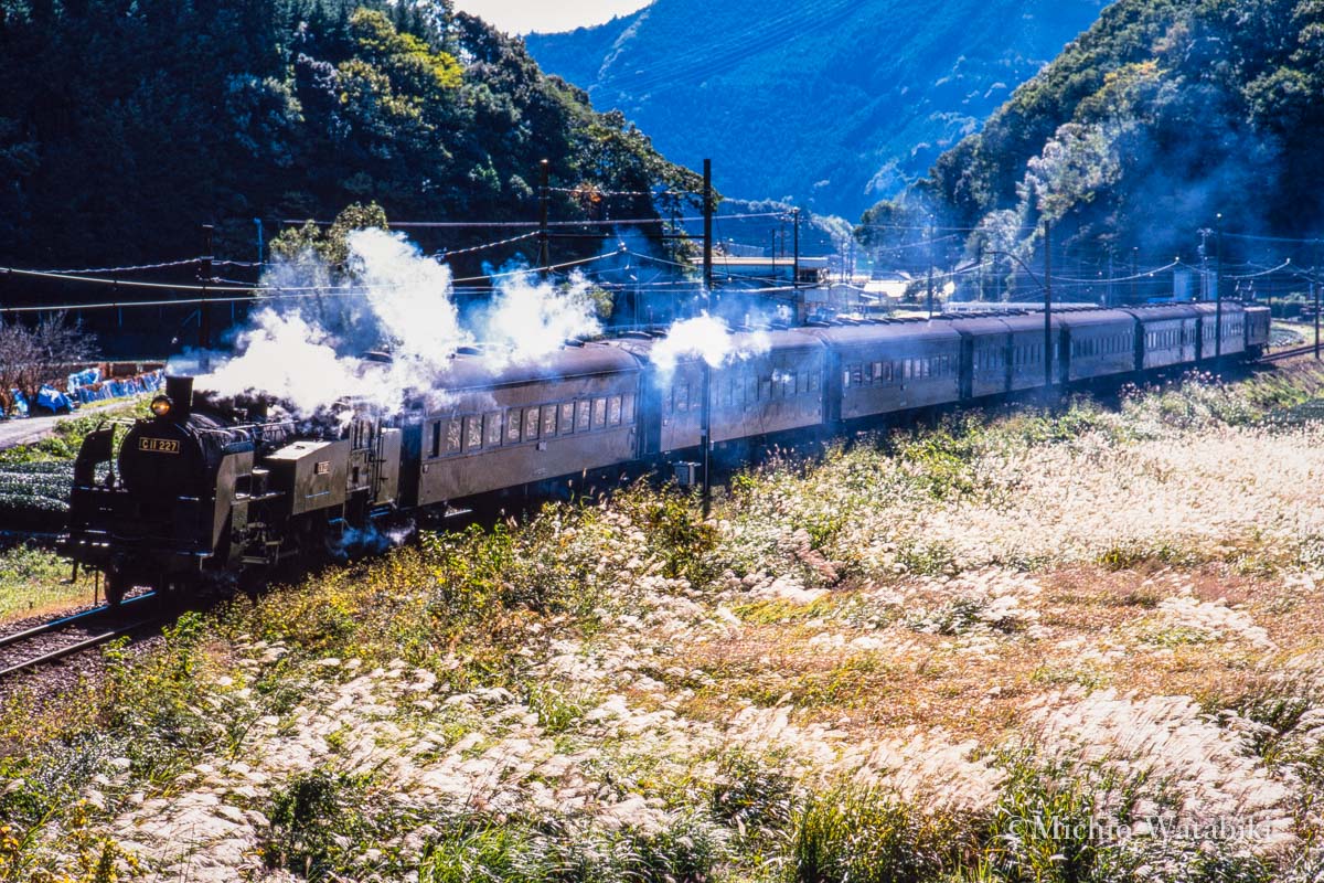 大井川鉄道C11「SL急行」福用～大和田（1996.9） - ビバトレインどっとこむ