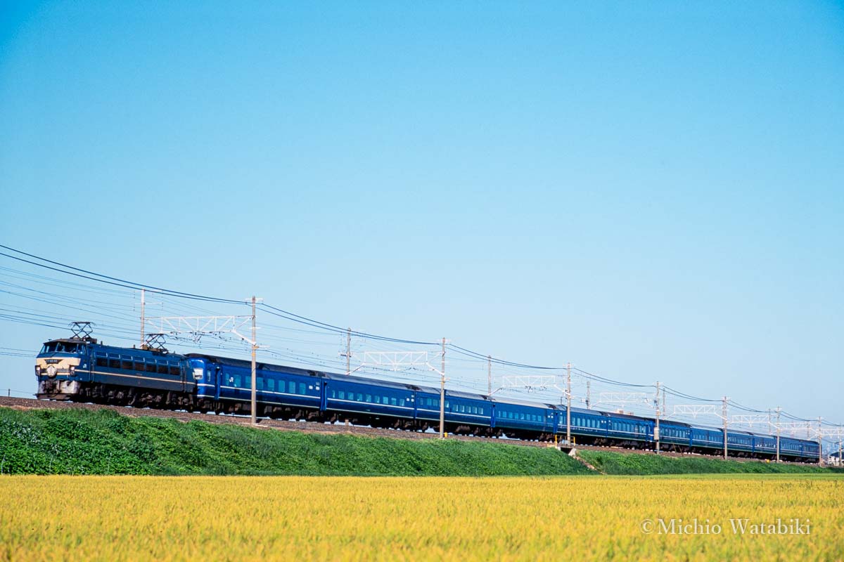 EF66 - ビバトレインどっとこむ