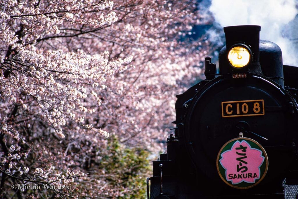 大井川鉄道C10「SL急行」大和田駅（2001.3.30） - ビバトレインどっとこむ